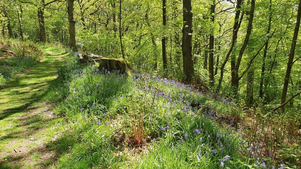 Visit Settle - Landscapes